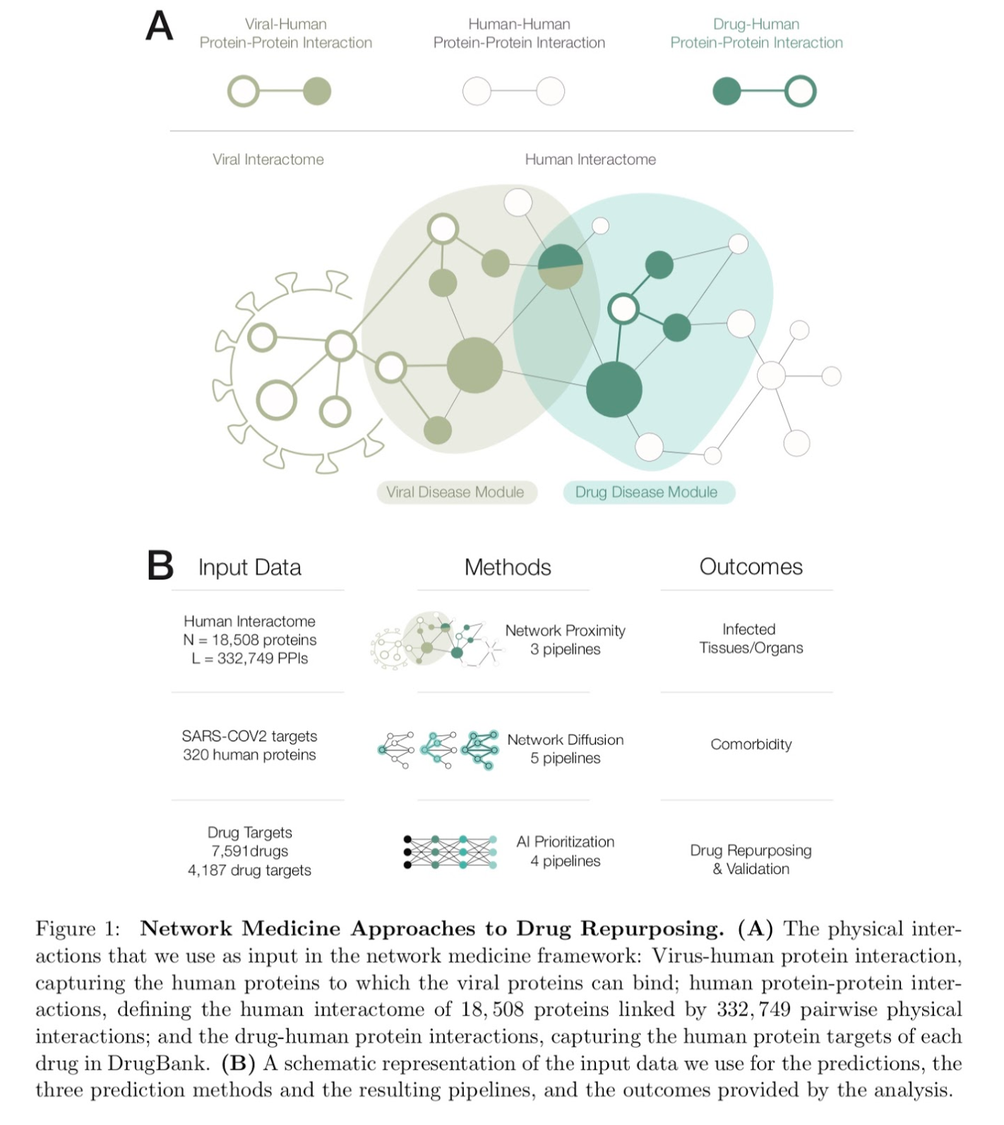 COVID-19 Research Briefing 4.21 - PrimerAI