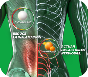 Infórmate sobre Dolo-Neurobión® y sus componentes