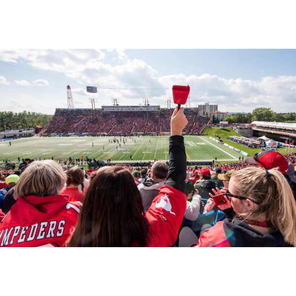 Earn & Redeem Points on Great Rewards | TELUS Rewards