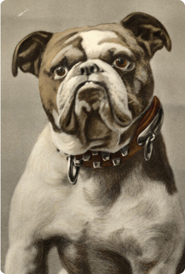 August Jackson: Award-Winning Creative Agency