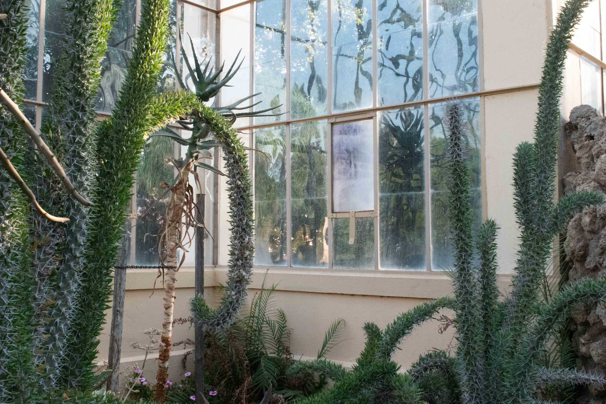 Henry Wolff | Henry Wolff