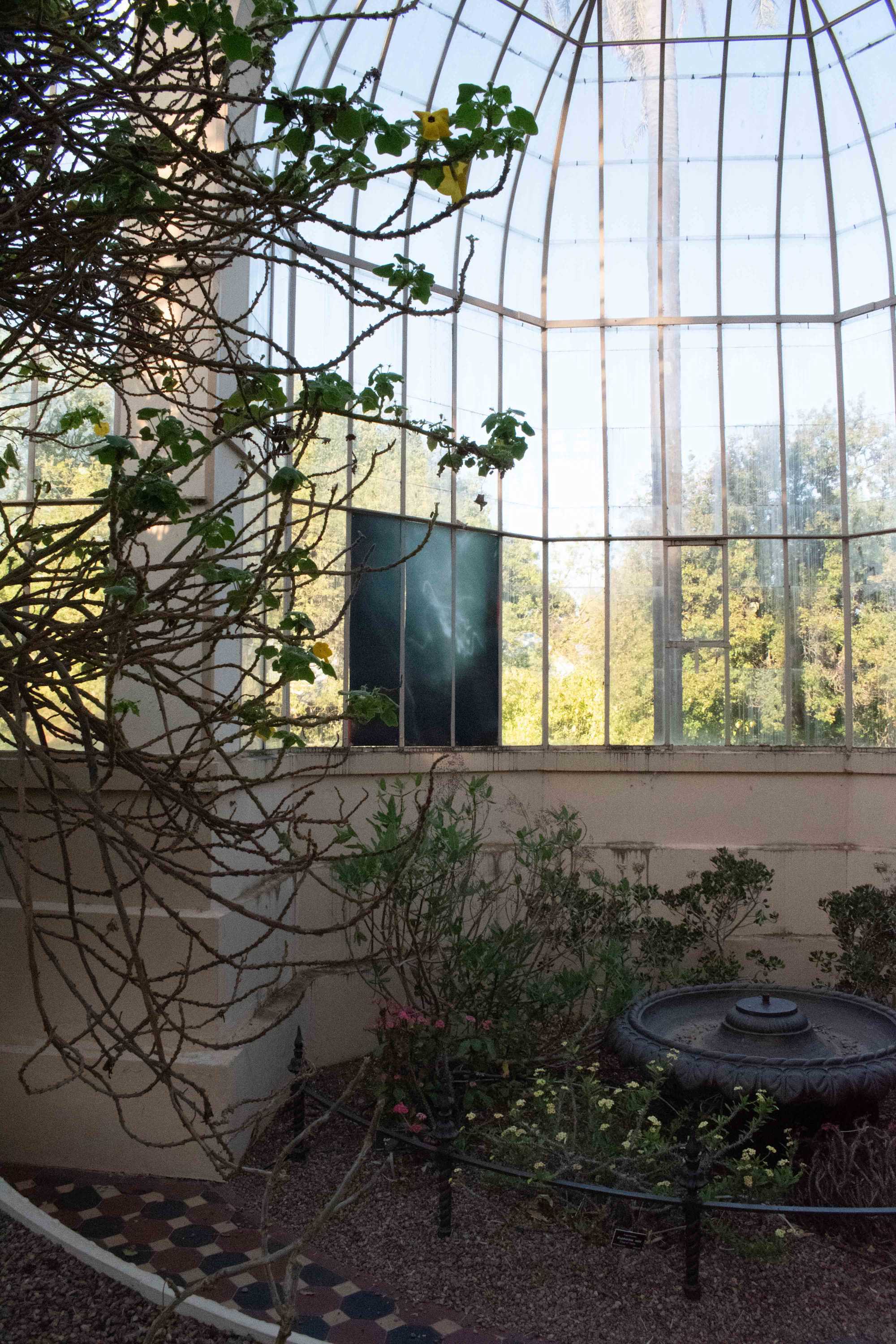 Henry Wolff | Henry Wolff