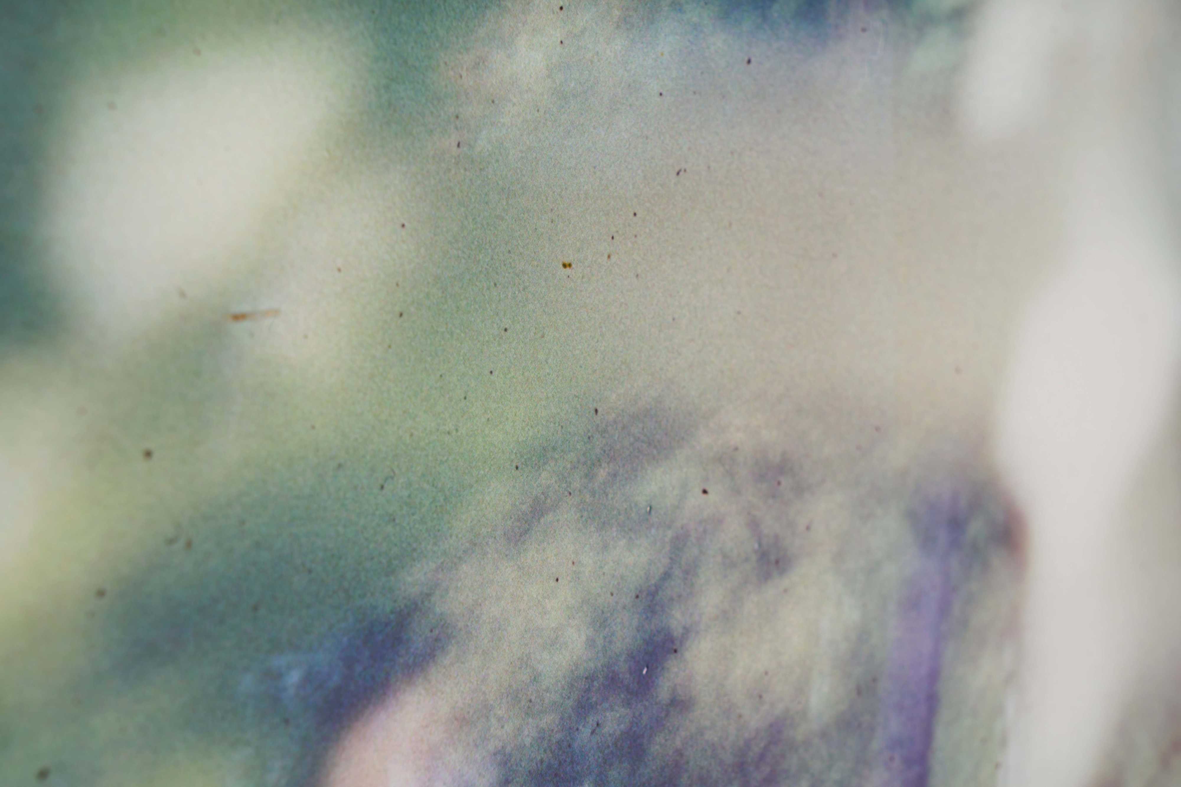 Henry Wolff | Henry Wolff