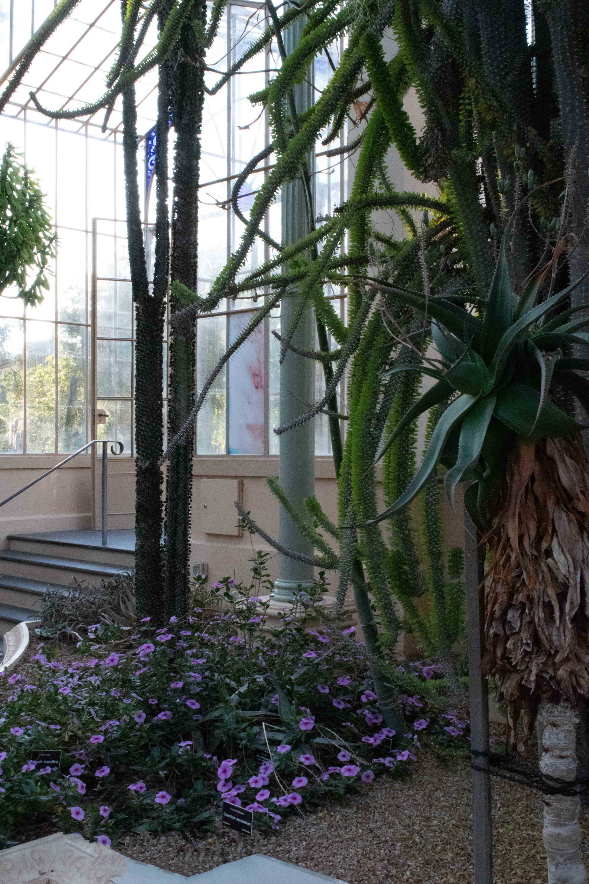 Henry Wolff | Henry Wolff