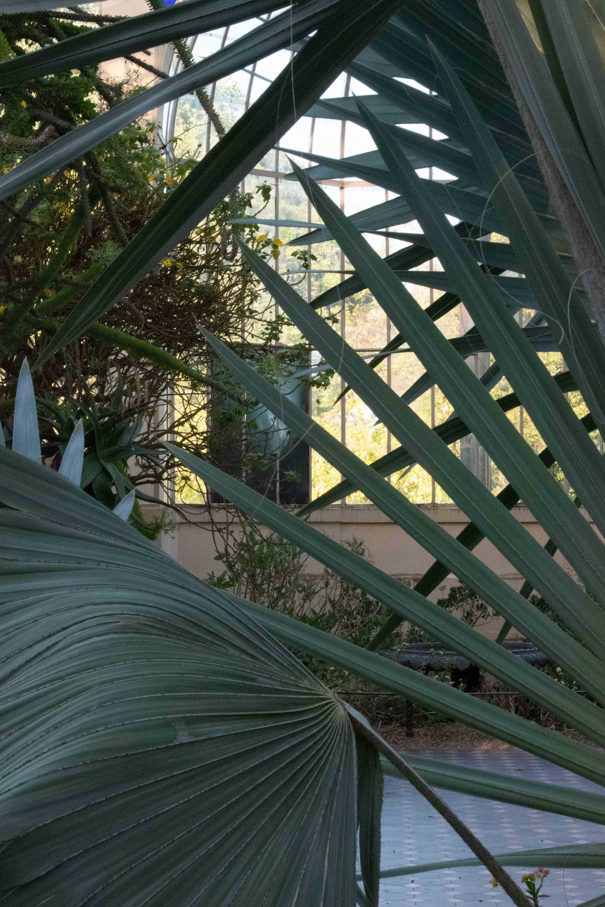 Henry Wolff | Henry Wolff