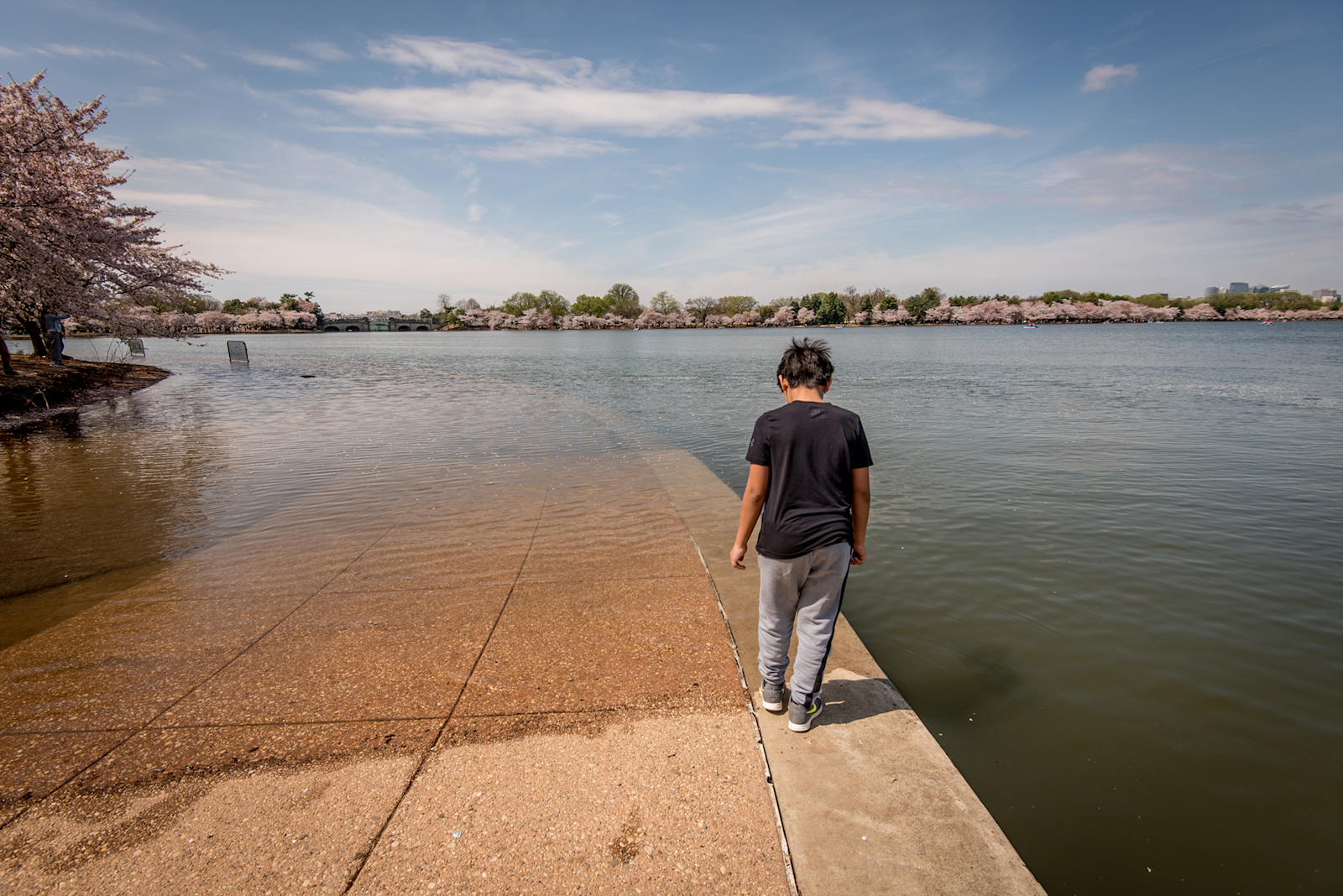 National Mall Tidal Basin | Tidal Basin Ideas Lab