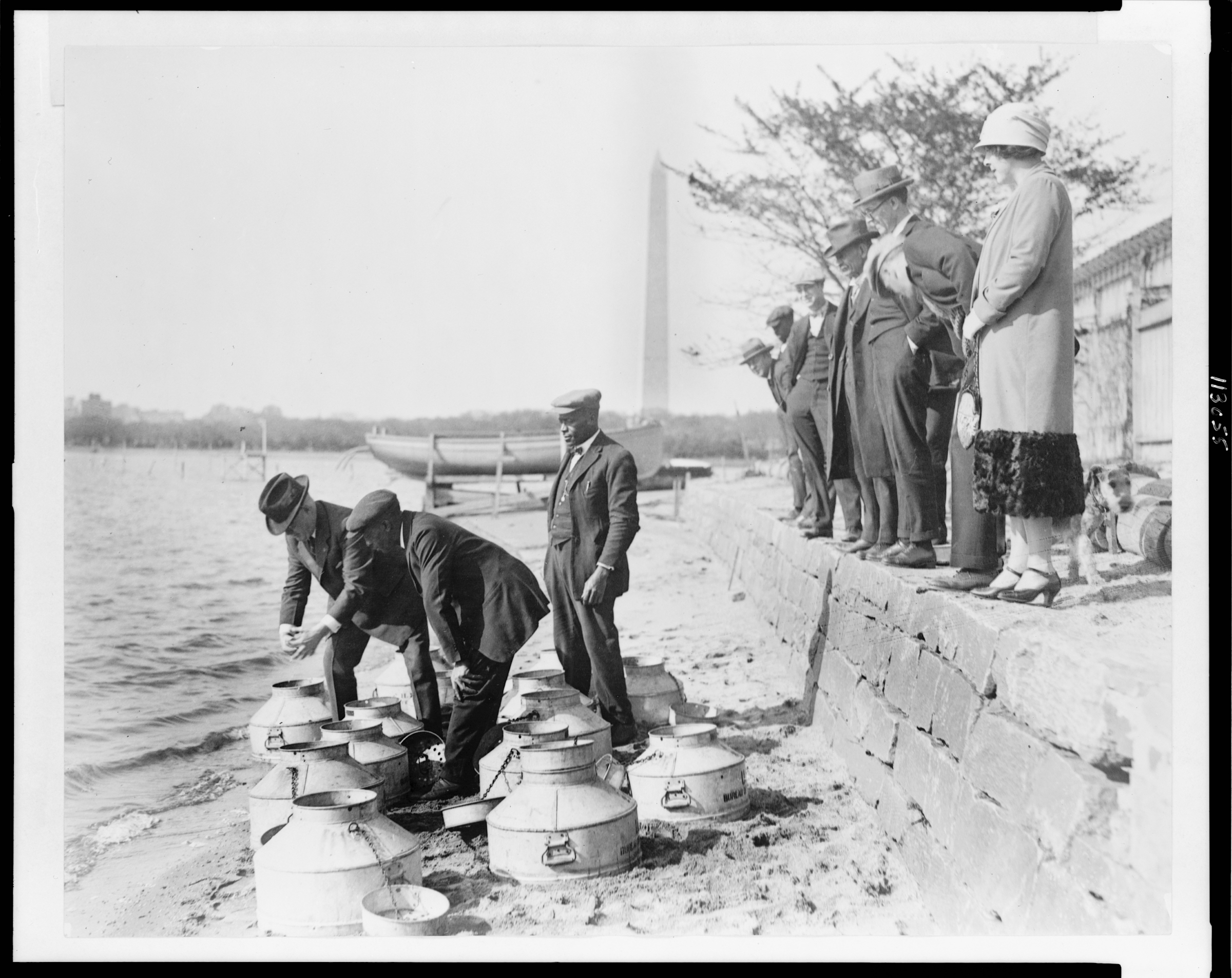 History | Tidal Basin Ideas Lab