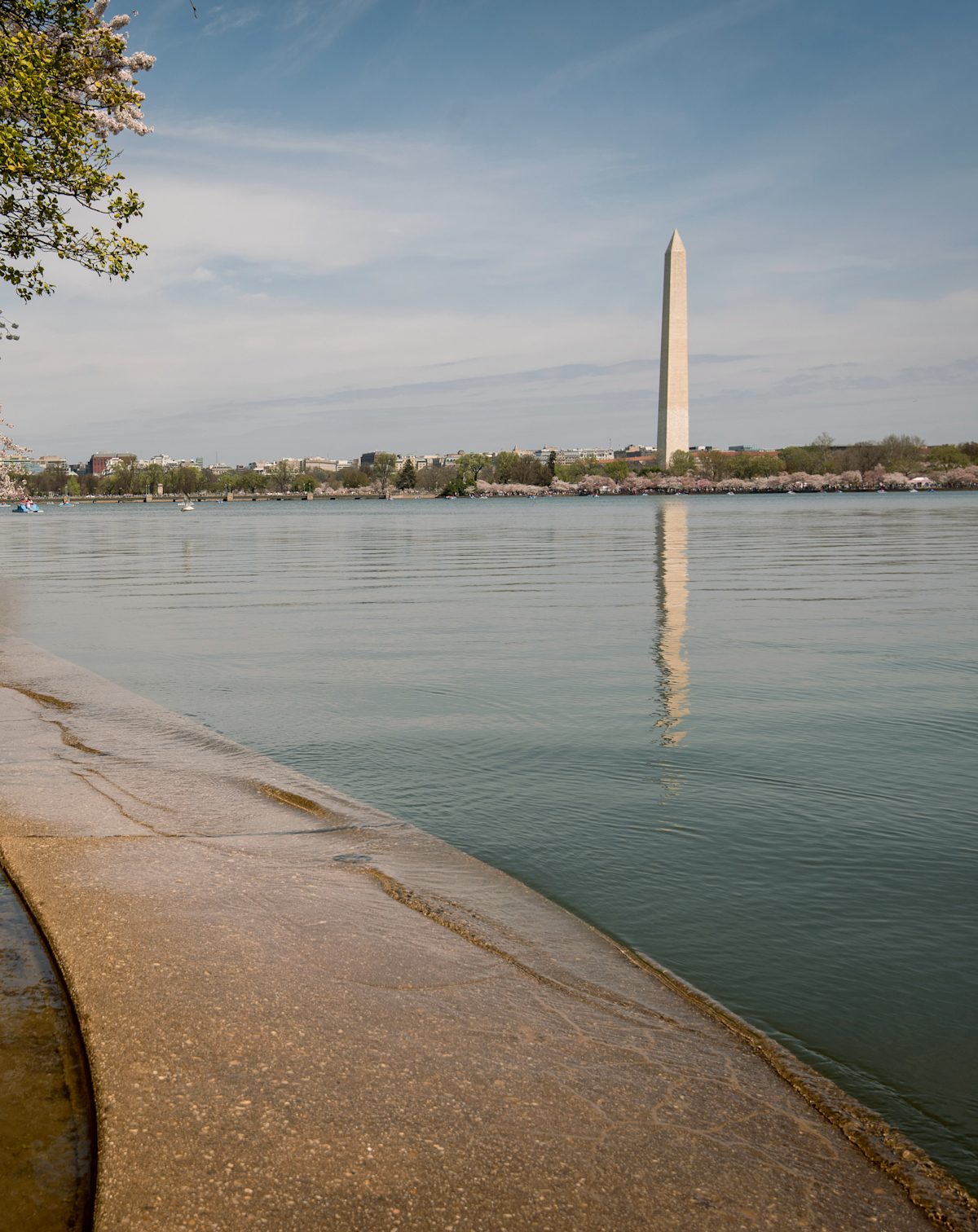 National Mall Tidal Basin | Tidal Basin Ideas Lab
