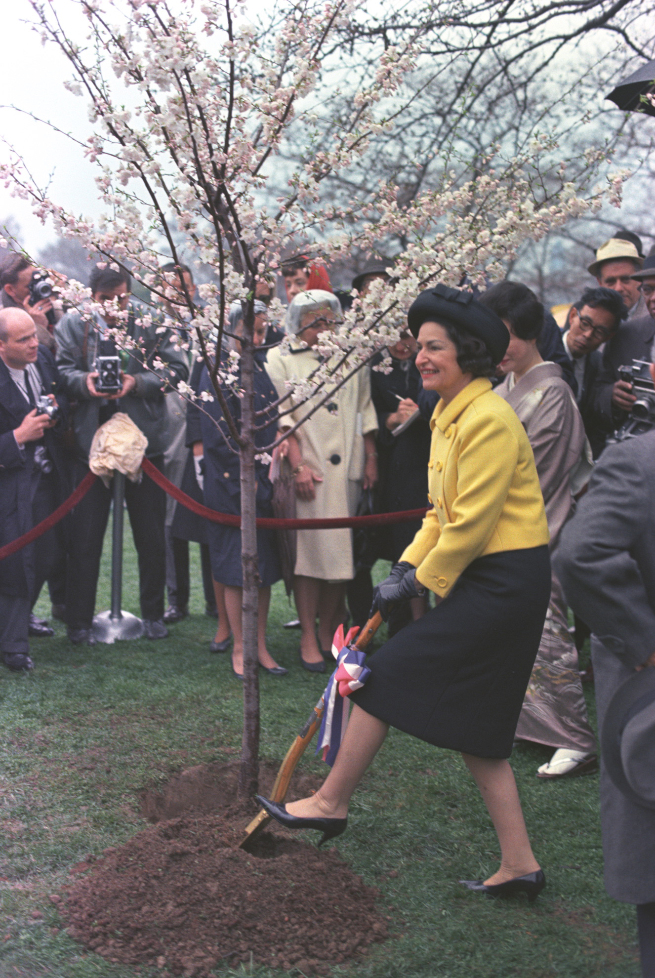 History | Tidal Basin Ideas Lab