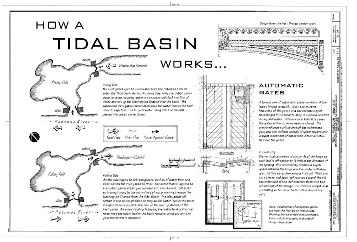 History | Tidal Basin Ideas Lab