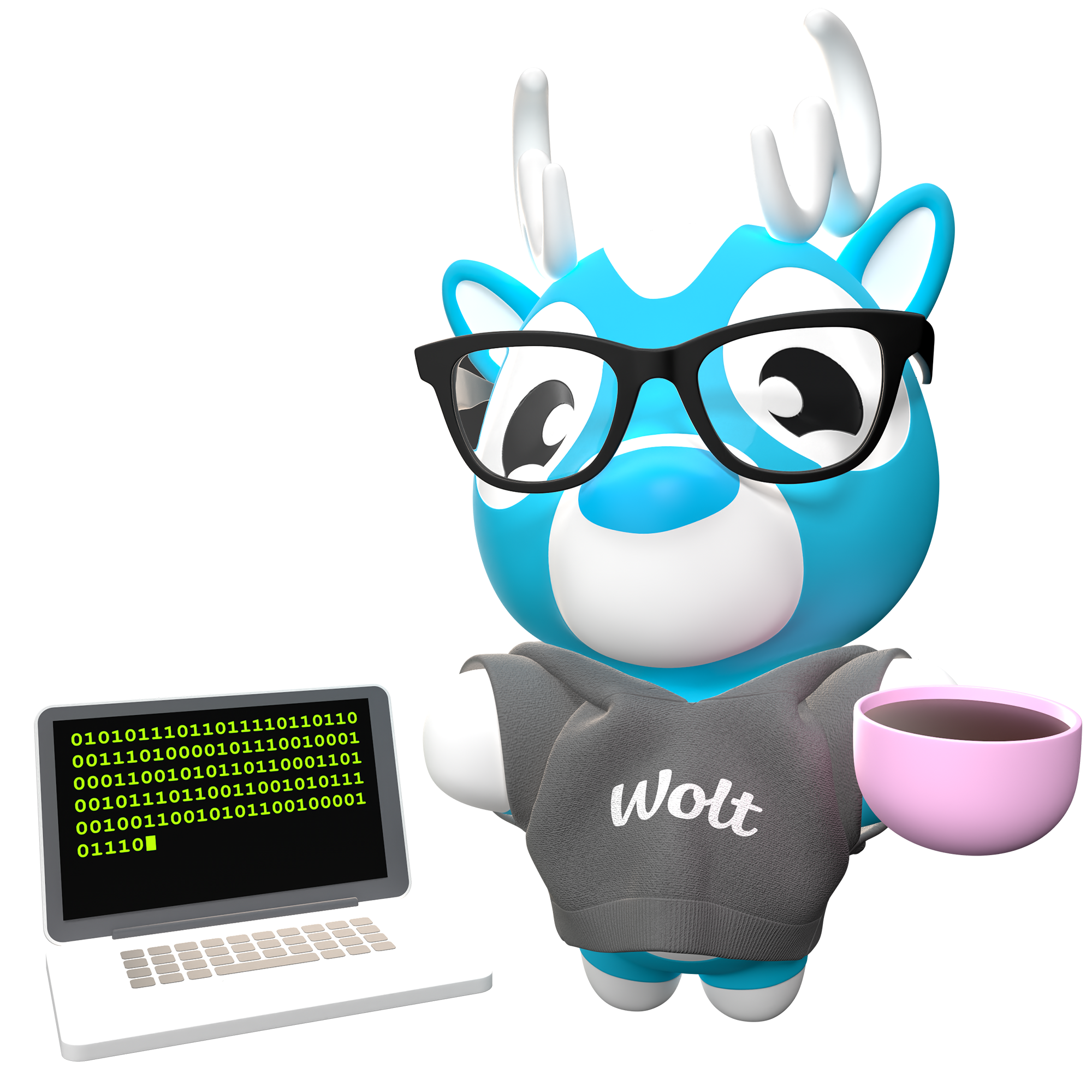 Working in our engineering team at Wolt | Wolt Careers