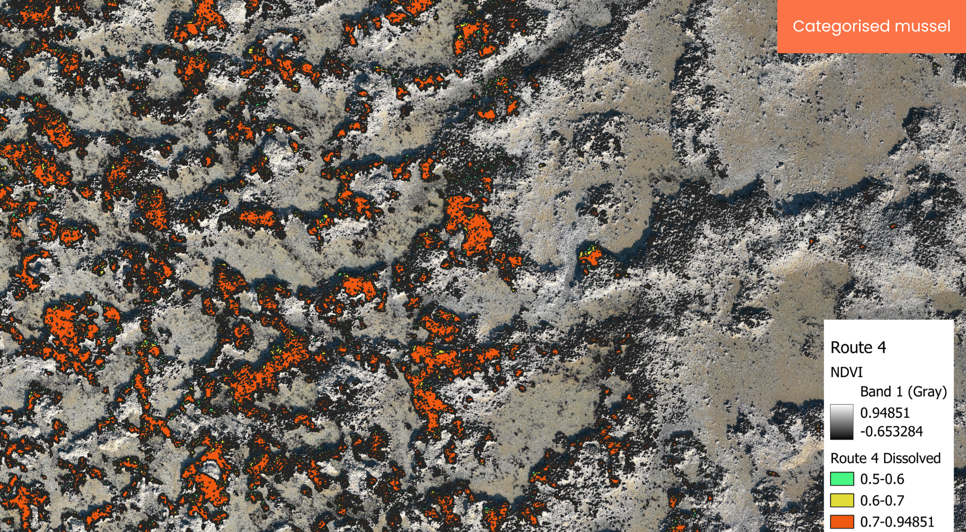 Transforming mussel surveys with multispectral drone data