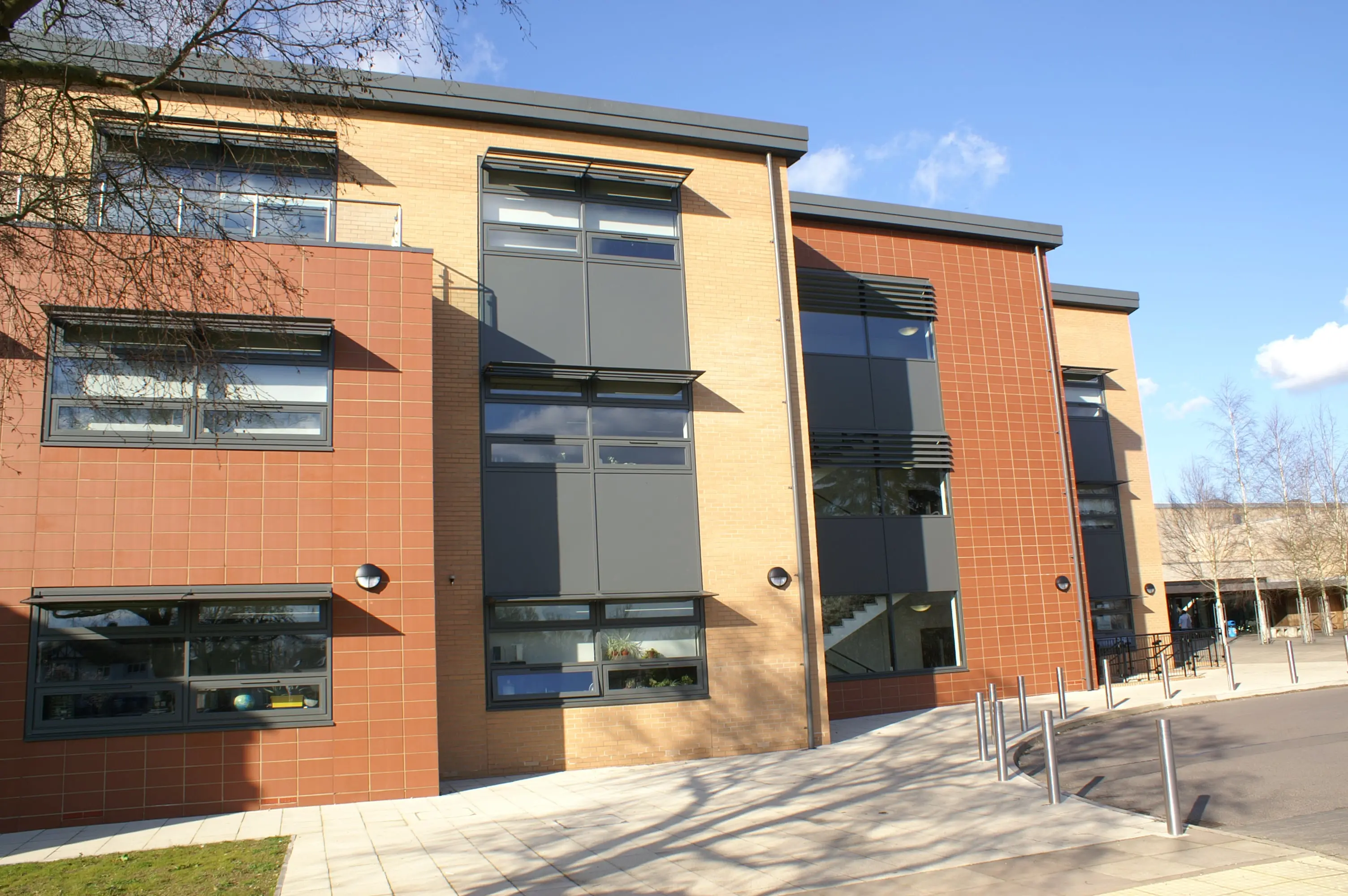 Cheddar Golden - Bricks