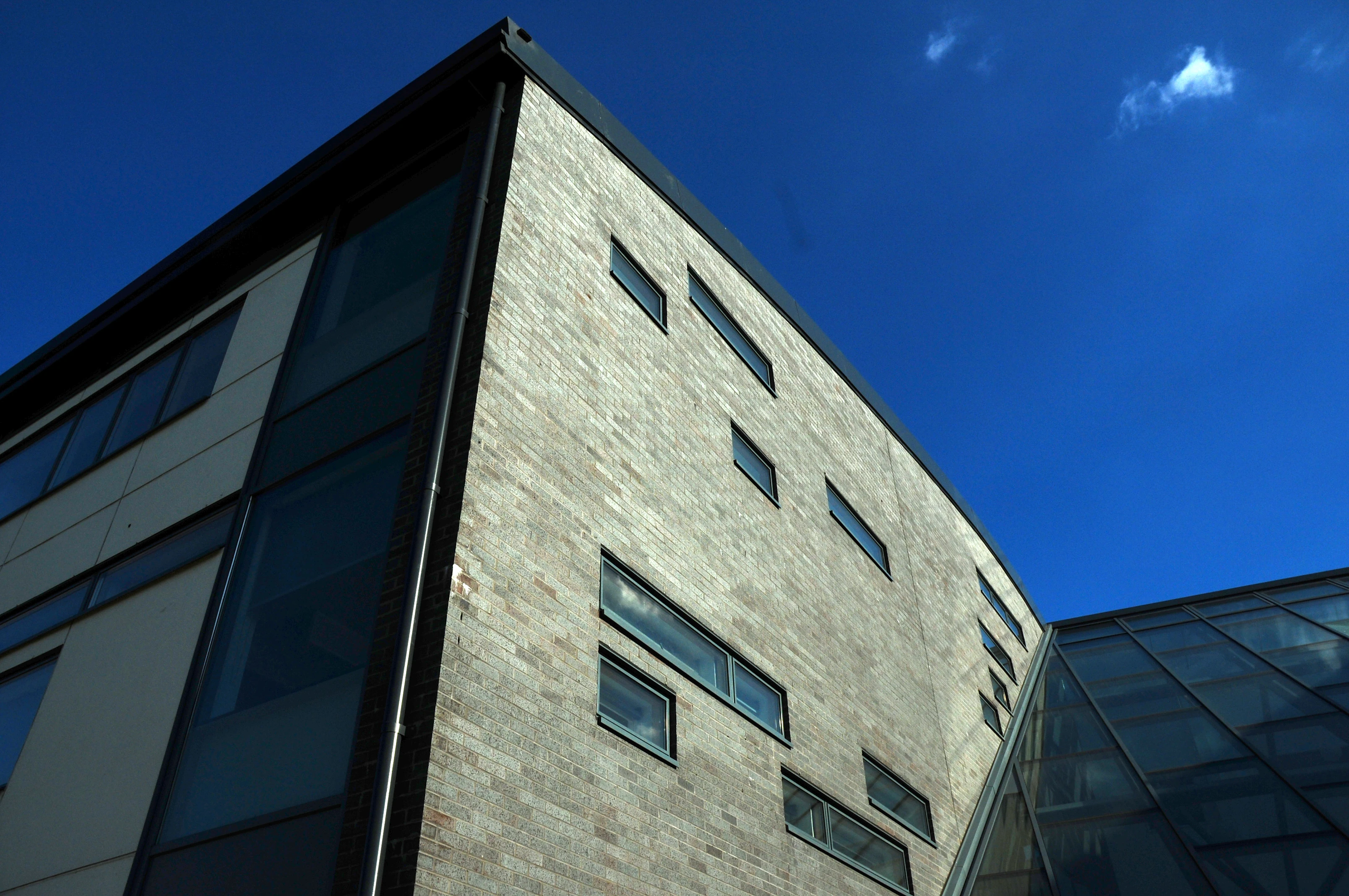 Staffordshire Blue Brindle Dragface - Bricks