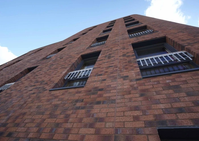 Kilcreggan Multi Wirecut - Bricks