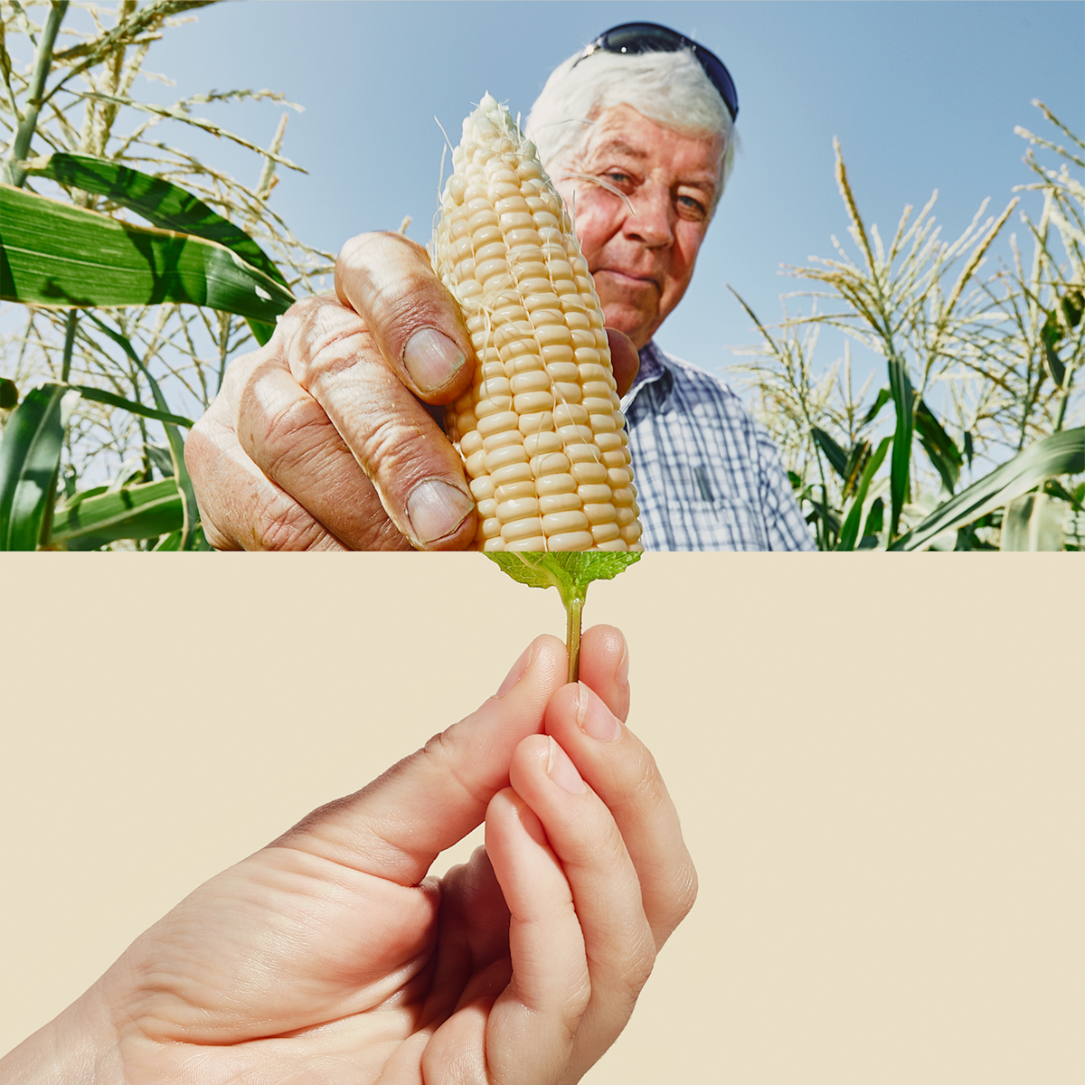 Rewrite the future of food with us | sweetgreen