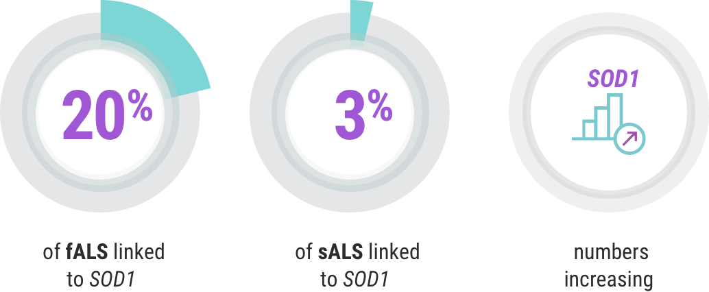 Genetic ALS: An Overview of Common Mutations| InsideALS HCP