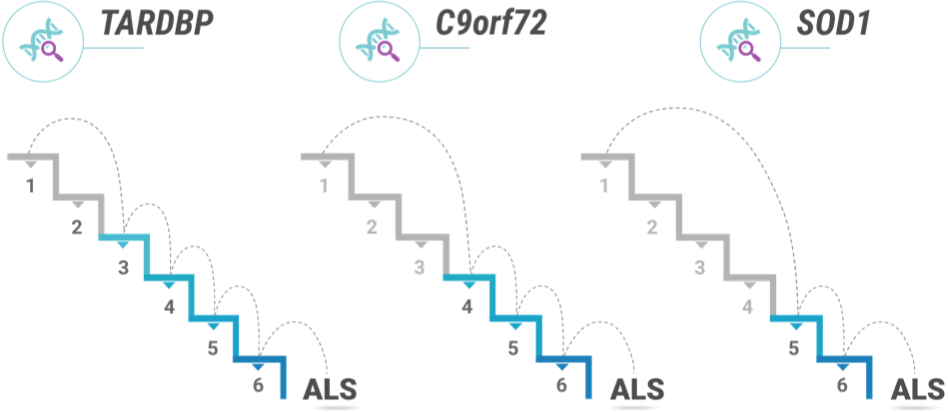 On the Multi-Step Theory of ALS | InsideALS HCP