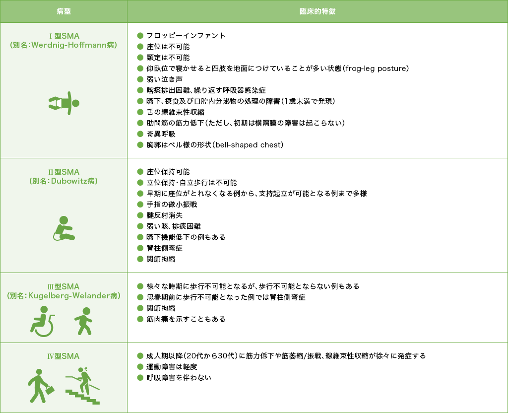 SMAの症状｜SMAについて知る｜診断サポート｜脊髄性筋萎縮症(SMA)｜BiogenLinc｜バイオジェン