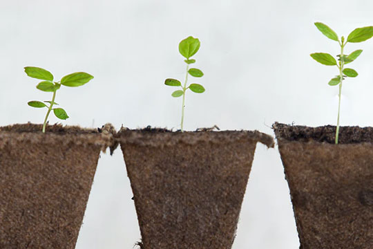 GROW Method - Inspirations