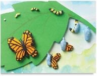 Claymation Metamorphosis - Lesson Plans | BLICK Art Materials