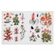 The Botanist's Sticker Anthology | BLICK Art Materials