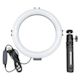 Artograph Mini Ring Light with Desk Stand - 8" Diameter | BLICK Art Materials