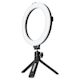 Artograph Mini Ring Light with Desk Stand - 8" Diameter | BLICK Art Materials