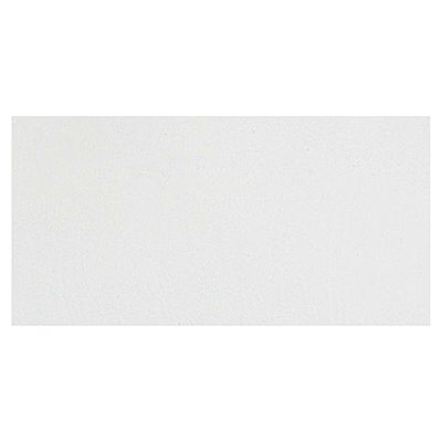 Crayola Premier Tempera - White, 32 oz bottle | BLICK Art Materials