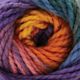 Premier Yarn Colorfusion Chunky Yarn - Tropical, 109 yards | BLICK Art ...