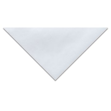 Masa Paper | BLICK Art Materials