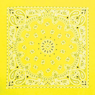 Hav-A-Hank Novelty Bandana - Neon Yellow Paisley, 22" W x 22" L | BLICK ...