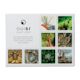 Ouisi Card Set - Nature | BLICK Art Materials