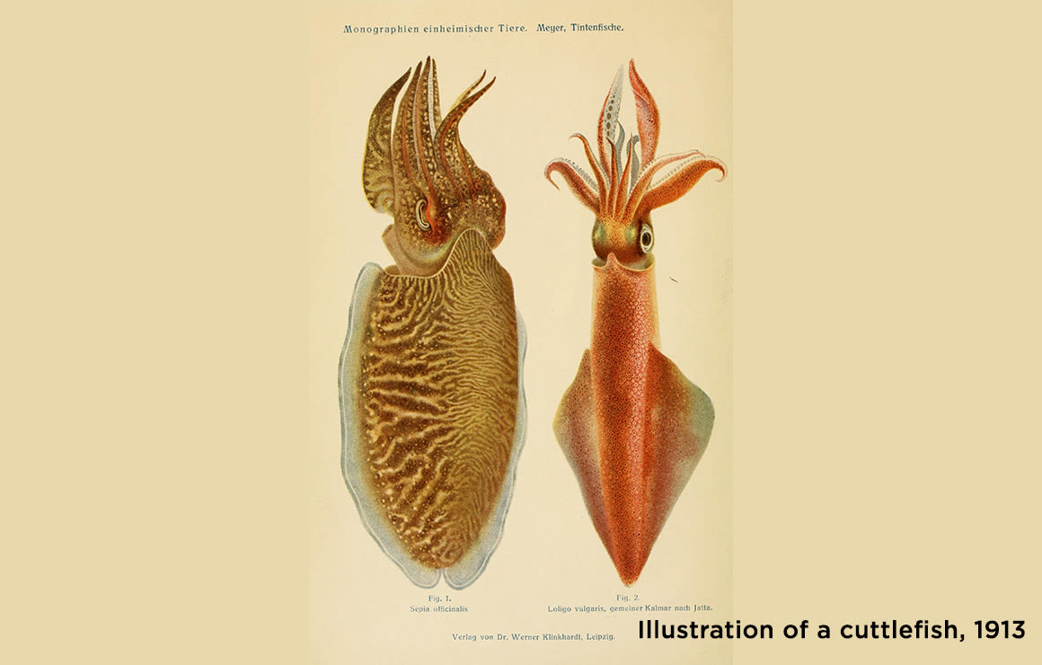 Moody Sepia Tones | BLICK Art Materials