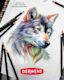 How To Draw a Realistic Wolf With Katy Lipscomb