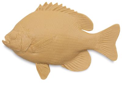 Gyotaku Fish Printing Replica - Blue Gill | BLICK Art Materials