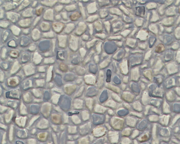 Plastruct Patterned Sheets, Random Stone, 1:100 Scale | BLICK Art Materials