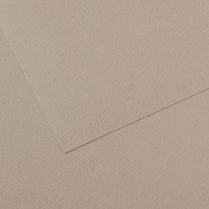Canson Mi-Teintes Drawing Papers - 8-1/2" x 11", Flannel Gray, 25 ...