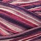 Premier Yarn Fruits Yarn - Plum | BLICK Art Materials