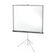Apollo Projection Screen - 70" x 70" | BLICK Art Materials