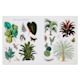 The Botanist's Sticker Anthology | BLICK Art Materials