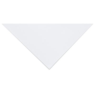 Strathmore 400 Series Drawing Paper - 19" x 24", 100 lb, Single Sheet ...