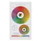 Cavallini Color Wheel Tea Towel | BLICK Art Materials