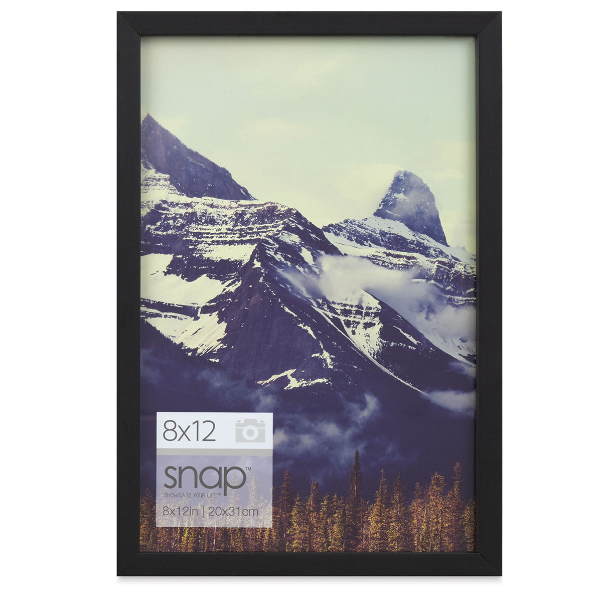 Nielsen Bainbridge Snap Digital Format Frames | BLICK Art Materials