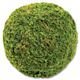 SuperMoss Moss Ball - 4" | BLICK Art Materials