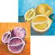 All the Colors of a Lemon - Lesson Plans | BLICK Art Materials