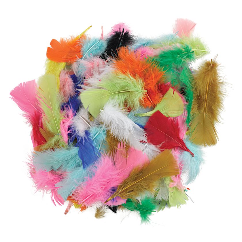 Creativity Street Plumage Feathers - Bright Hues, Assorted Sizes, 1 oz ...