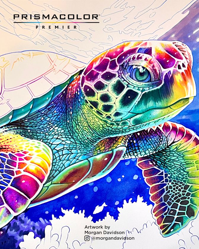 How to Draw a Colorful Sea Turtle with Prismacolor | BLICK Art Materials