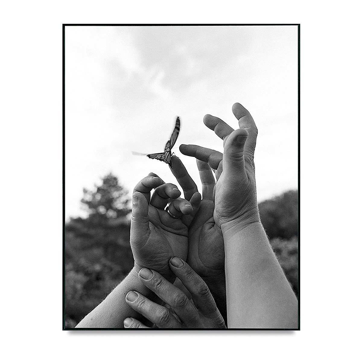 Format Frame - 8 1/2" x 11" | BLICK Art Materials