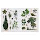 The Botanist's Sticker Anthology | BLICK Art Materials